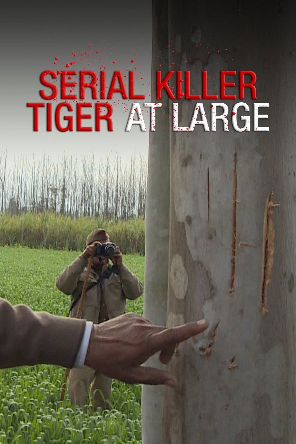 Serial Killer Tiger At Large Reviews + Where to Watch Tv show Online ...